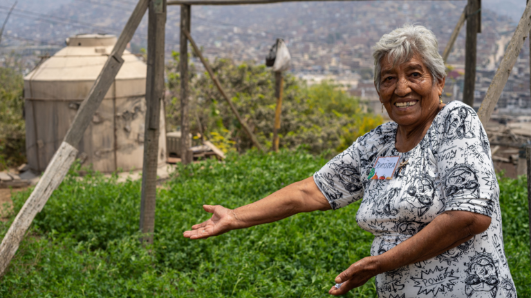Peru: Community gardens help increase agricultural knowledge and food ...