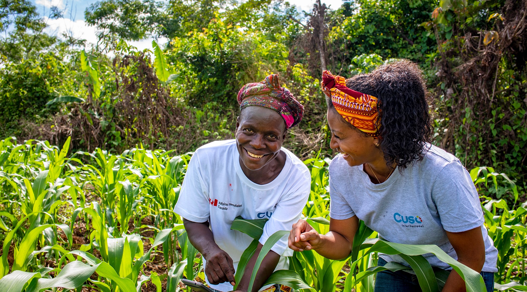 Board of Directors | Cuso International