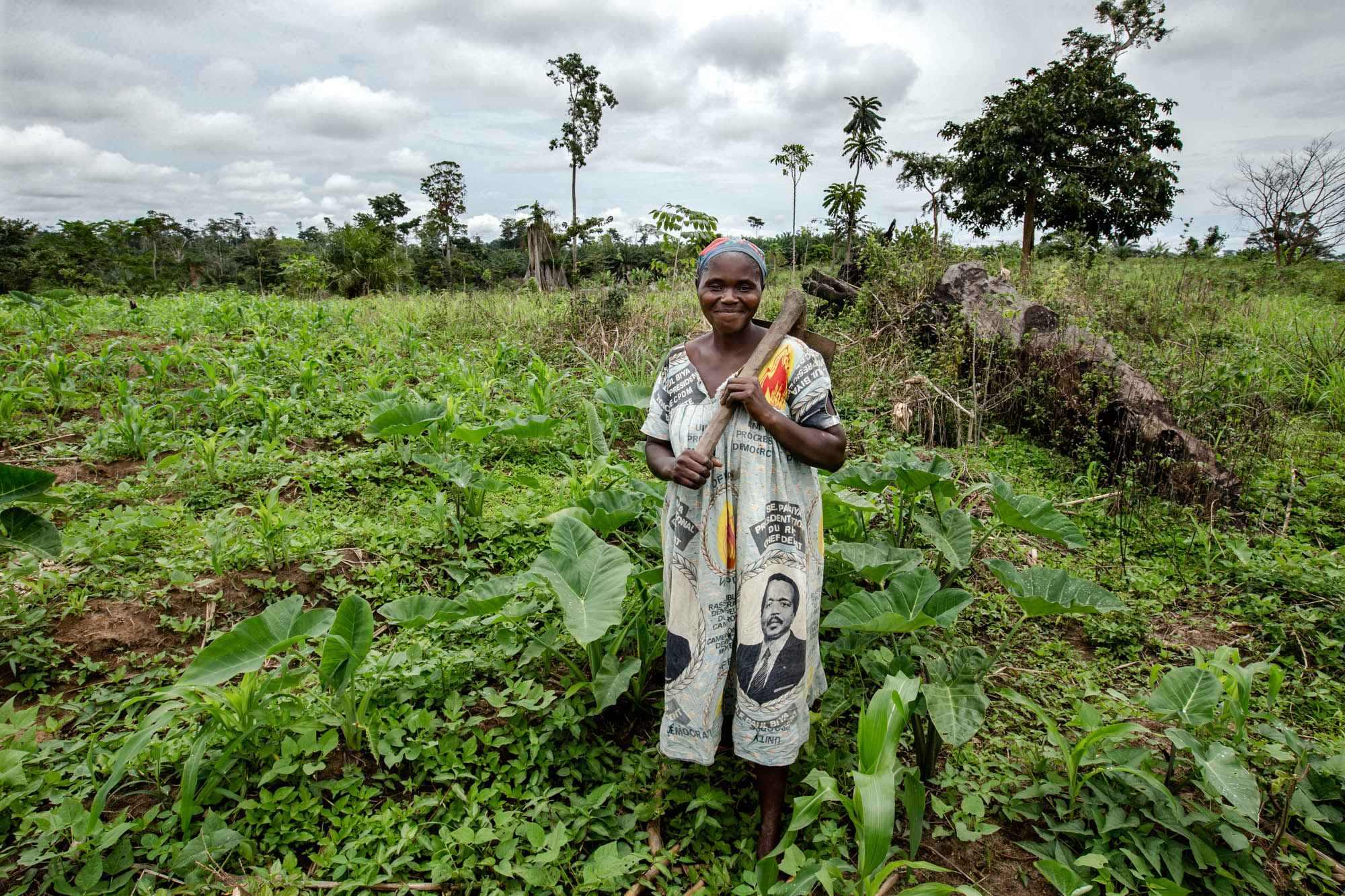 Cameroon: Supporting farmers to ensure long-term livelihoods and food ...