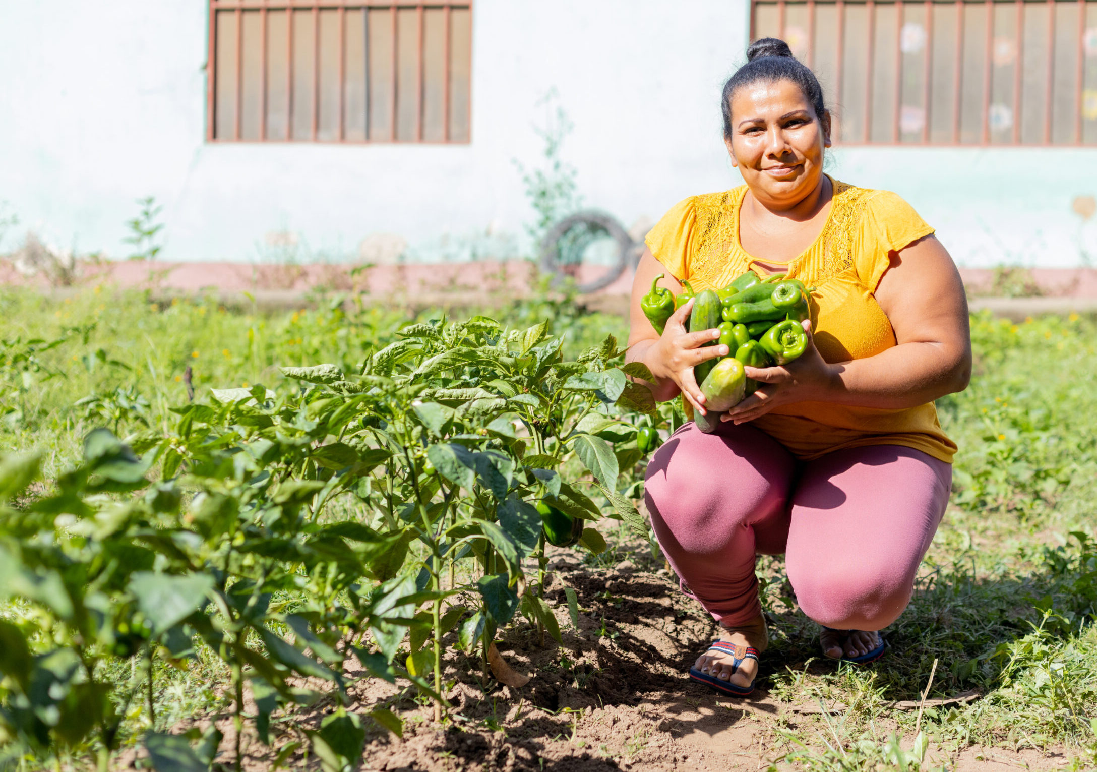 Cuso International | Skills to share. Futures to build.